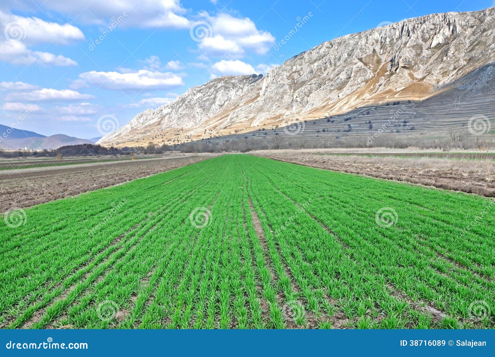 Arable field at spring stock image. Image of landscape - 38716089