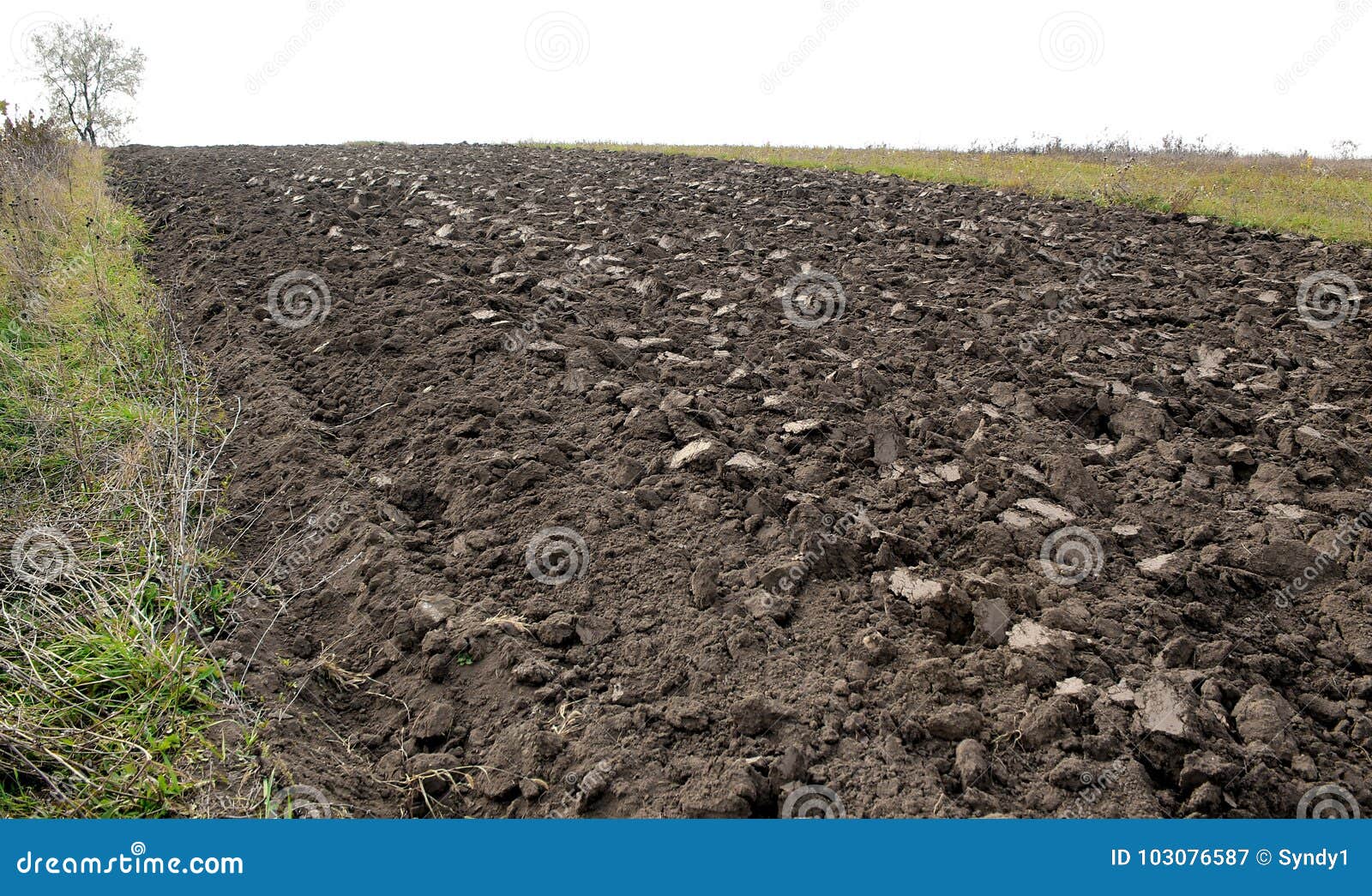 Arable field of chernozem. stock image. Image of agriculture - 103076587