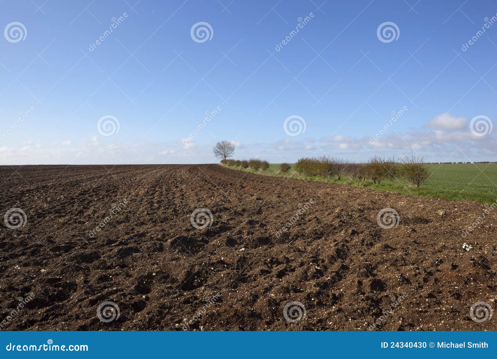 Arable fields stock photo. Image of soil, farmland, fields - 24340430
