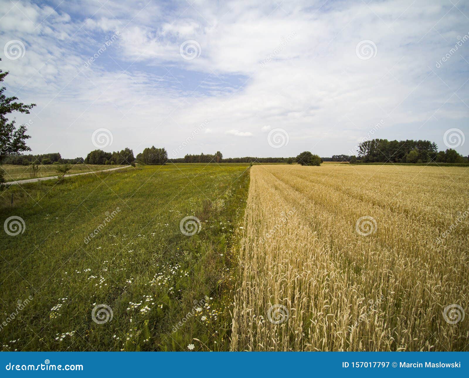 Arable Fields Seen from Above, Agriculture Stock Image - Image of ...