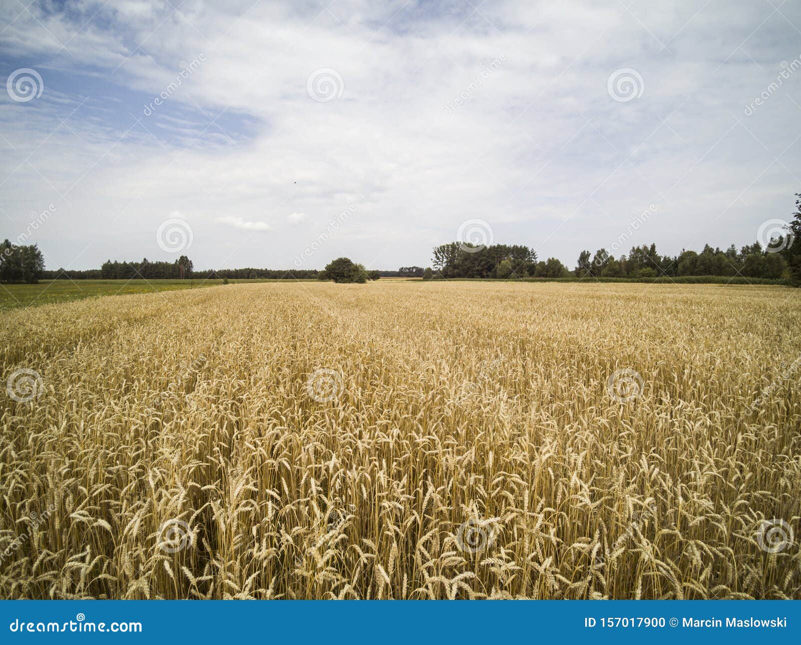 Arable Fields Seen from Above, Agriculture Stock Photo - Image of grain ...