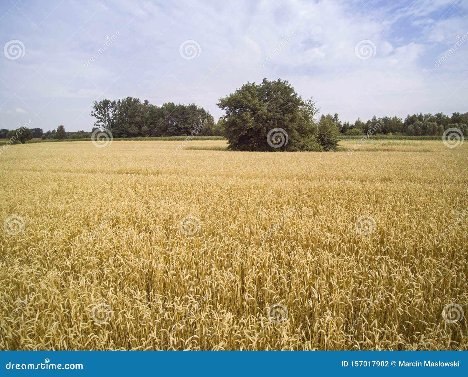 Arable Fields Seen from Above, Agriculture Stock Photo - Image of ...