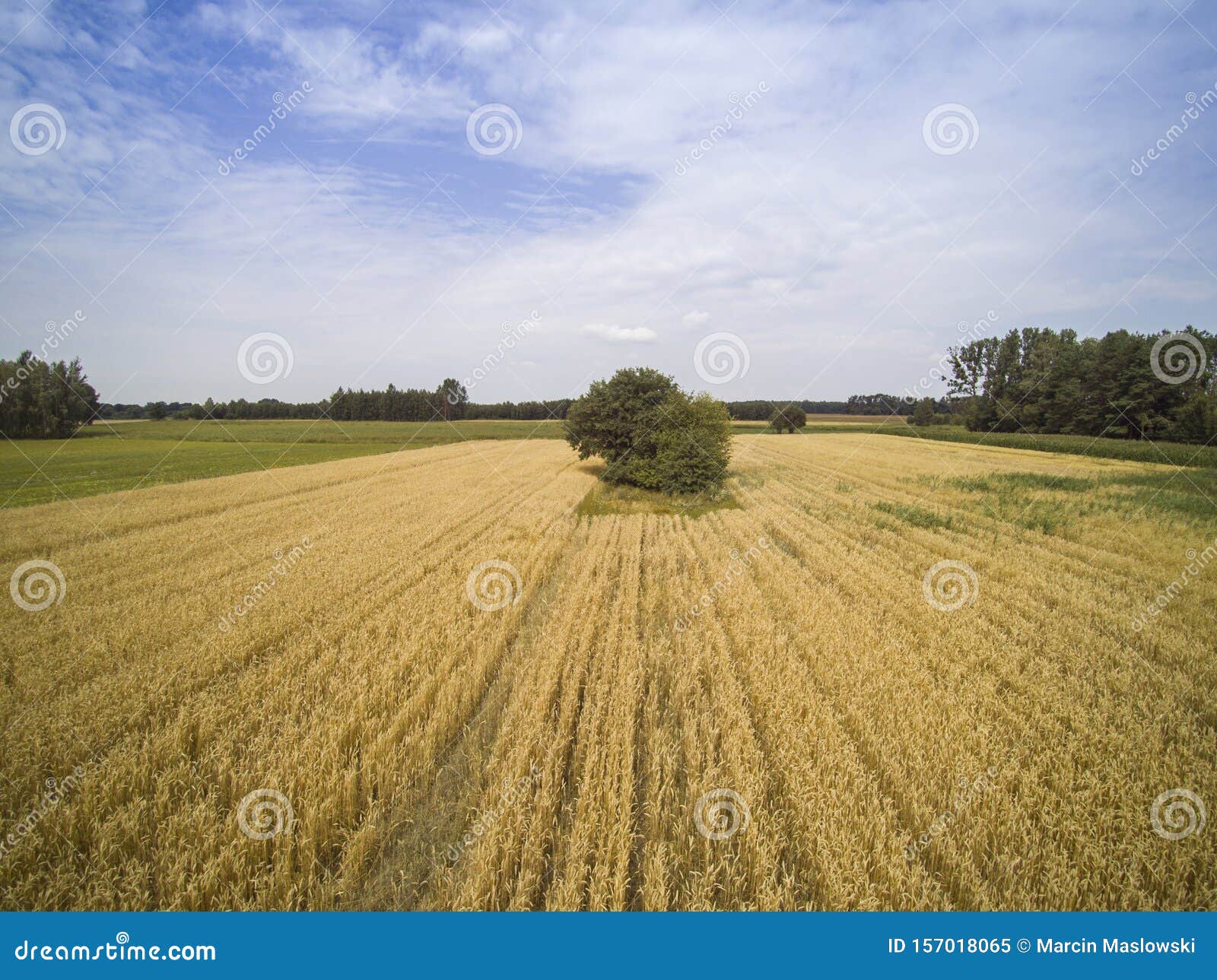 Arable Fields Seen from Above, Agriculture Stock Image - Image of gold ...
