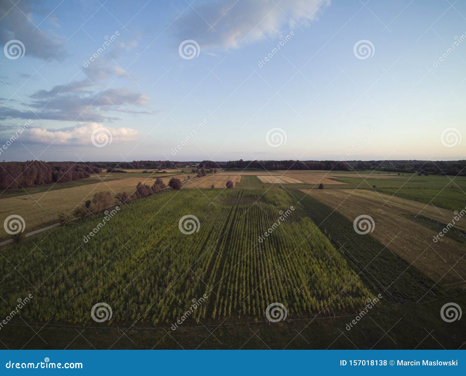 Arable Fields Seen from Above, Agriculture Stock Photo - Image of ...