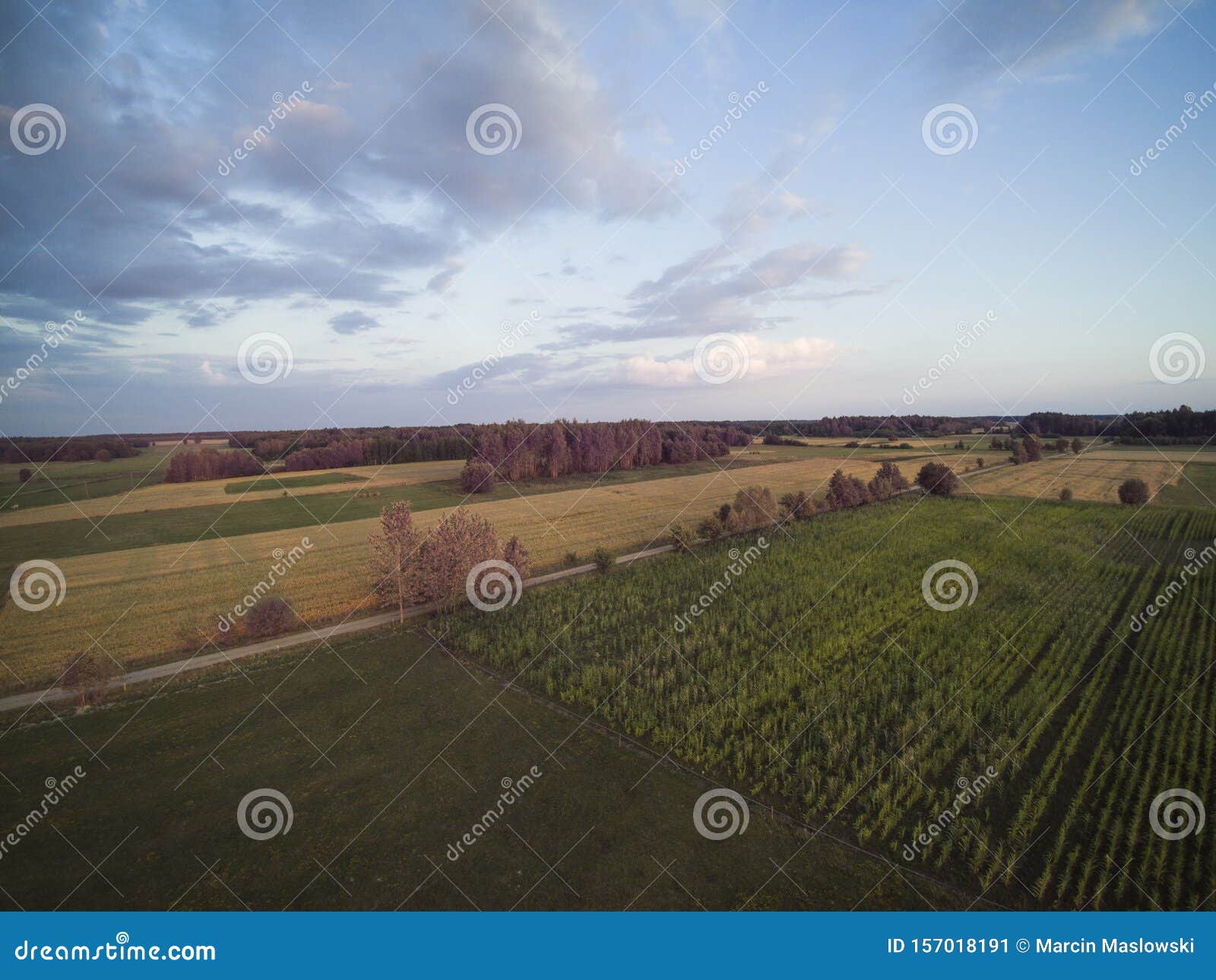 Arable Fields Seen from Above, Agriculture Stock Image - Image of farm ...
