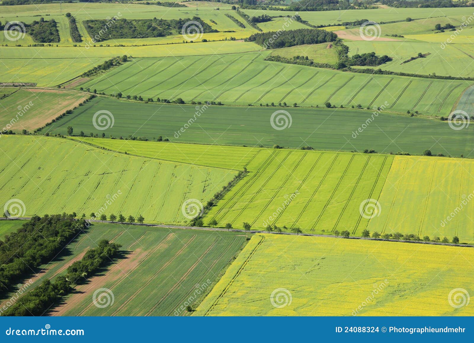 Arable land stock photo. Image of landscape, flowering - 24088324