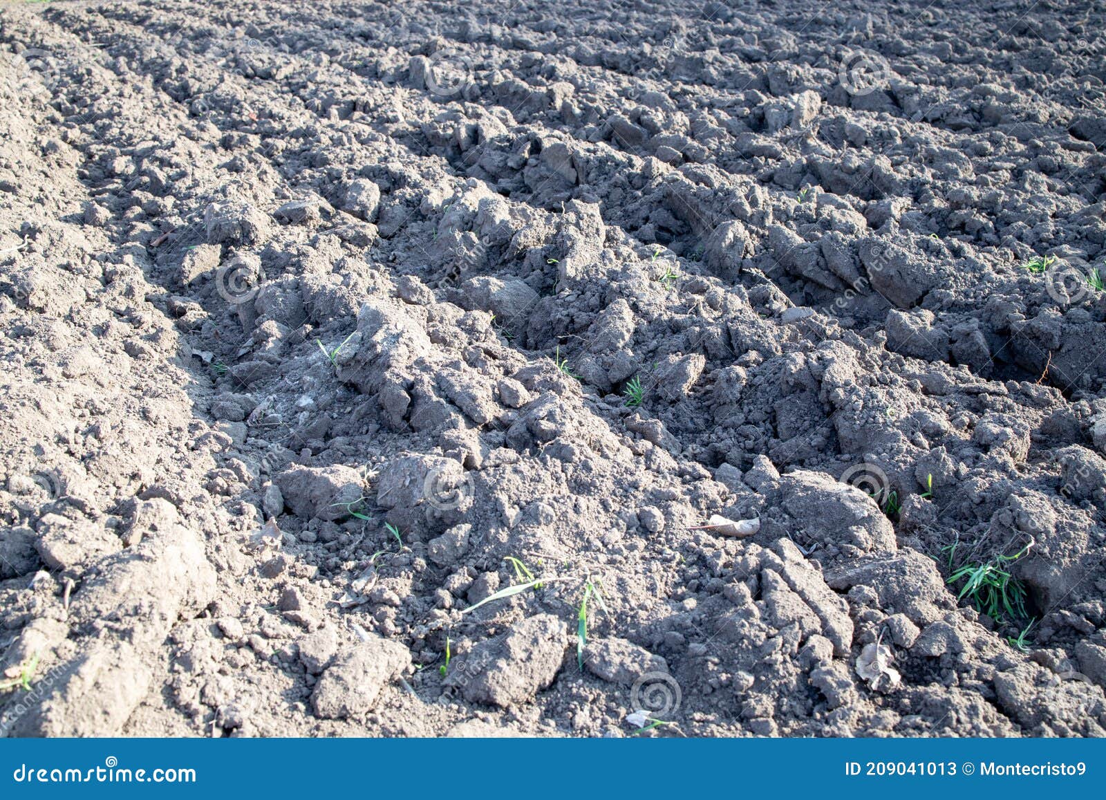 An Arable Land Agricultural Field Background. Farming Concept Stock ...