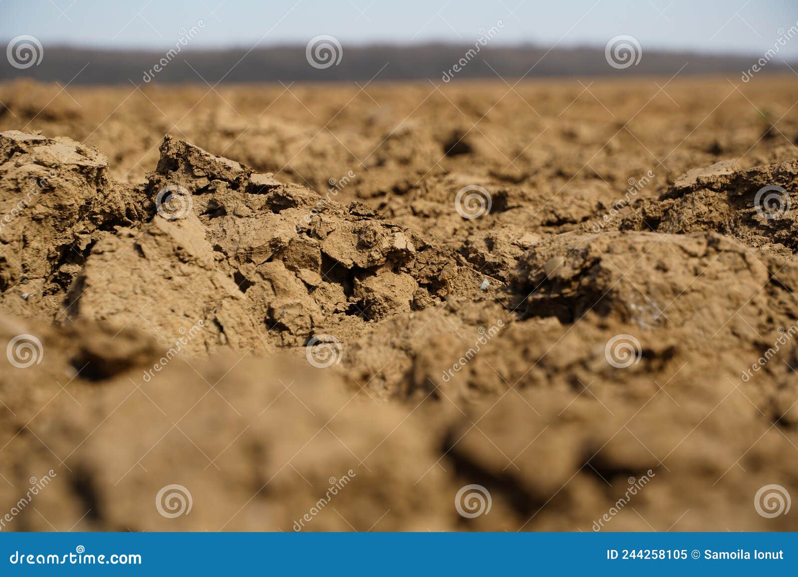Arable Land. Drought in the Spring of 2022 in Baragan, Romania. Stock ...