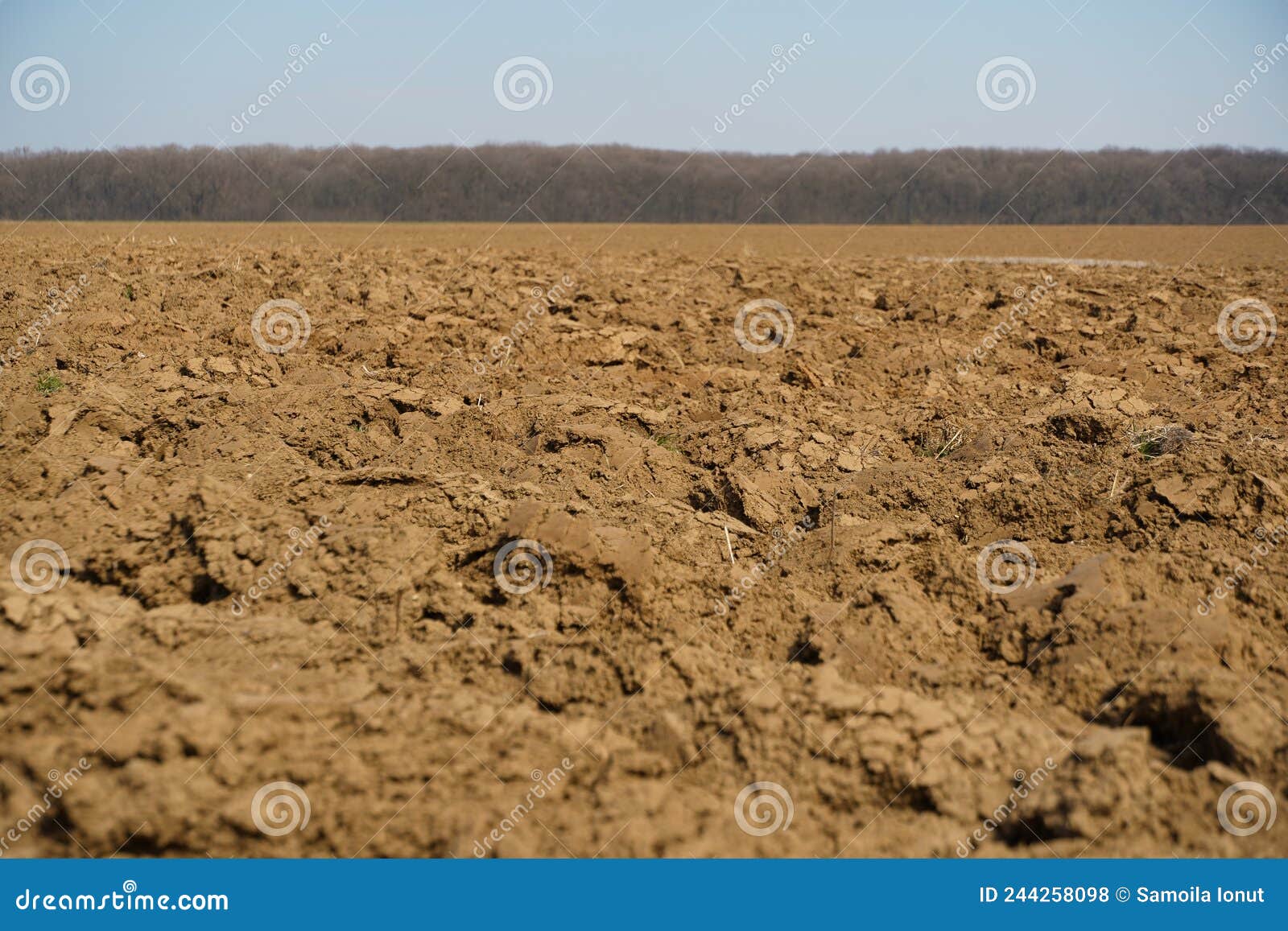 Arable Land. Drought in the Spring of 2022 in Baragan, Romania. Stock ...