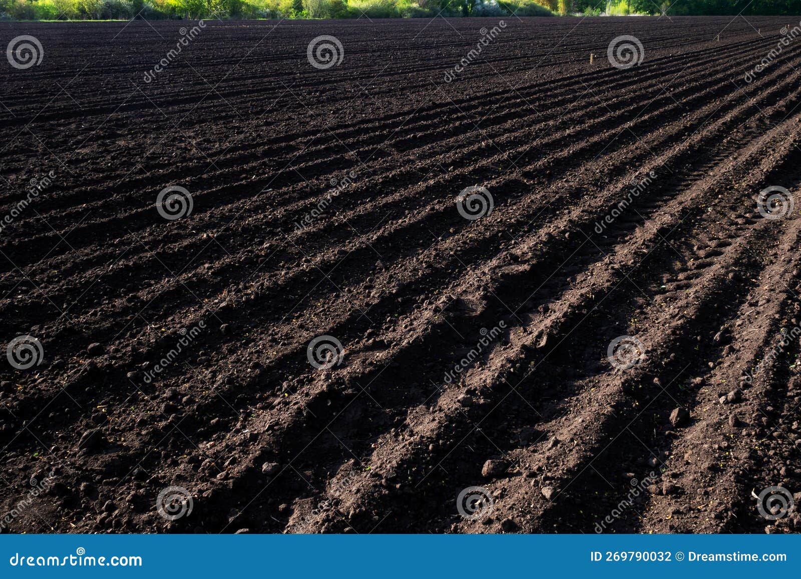 Arable Land. A Field Of Black Soil. Ploughed Field In Spring ...