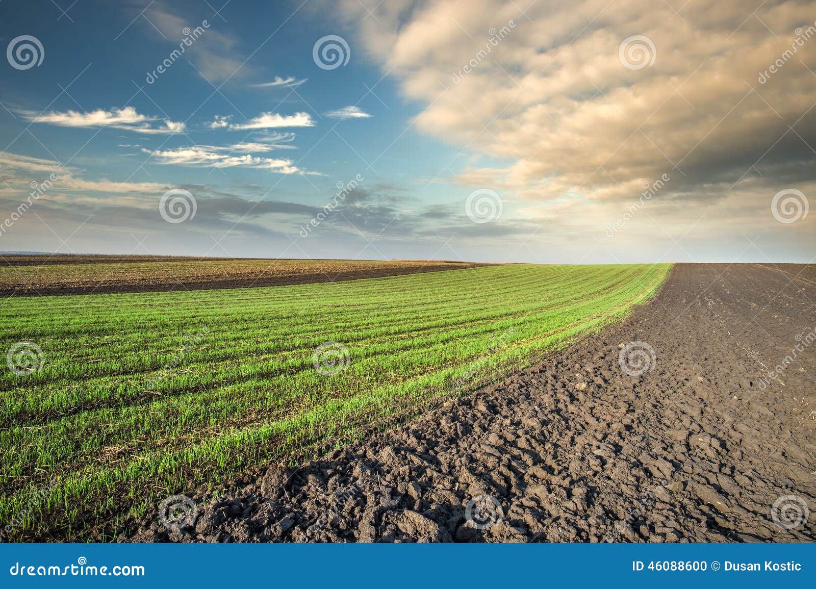 Arable land field stock photo. Image of natural, cultivation - 46088600