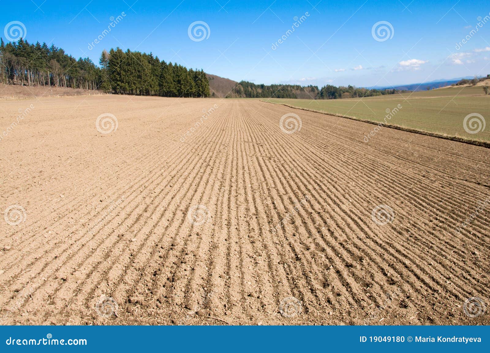 Arable land and forest. stock photo. Image of flat, field - 19049180
