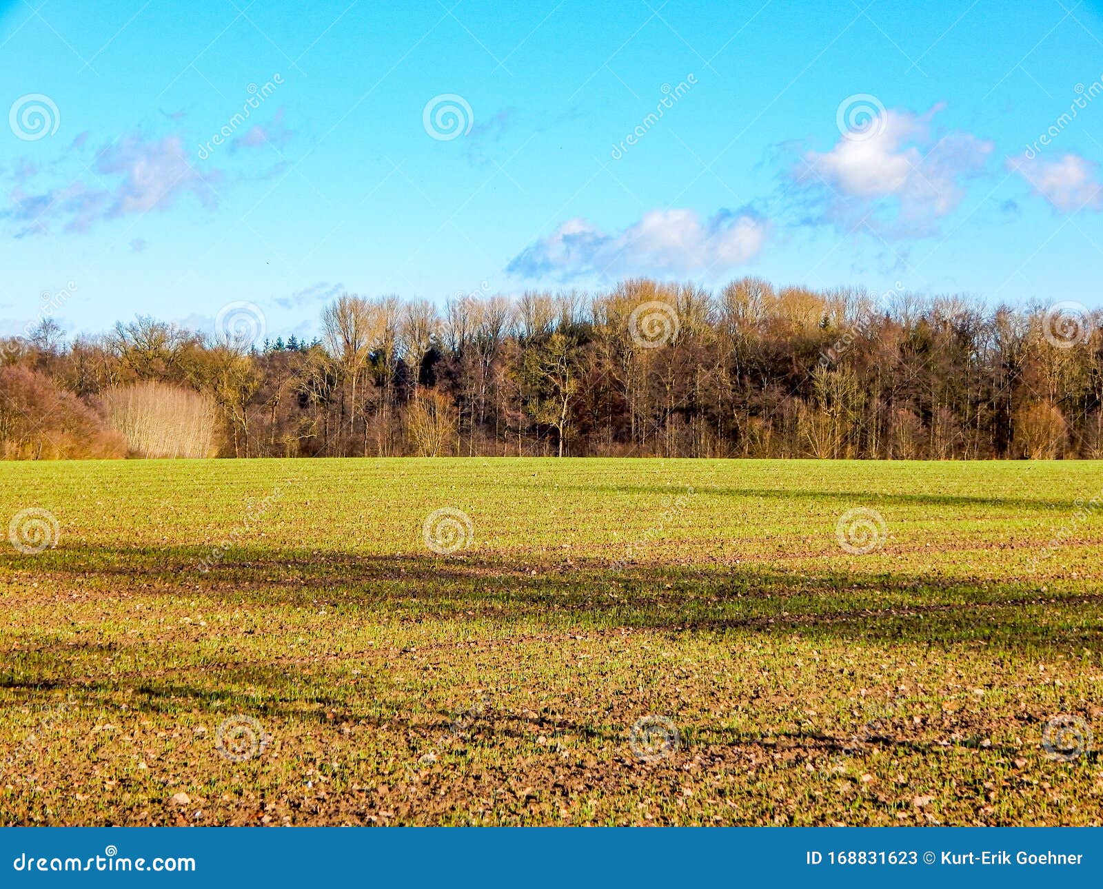 Arable Land with Forest and Blue Sky Stock Image - Image of forest ...