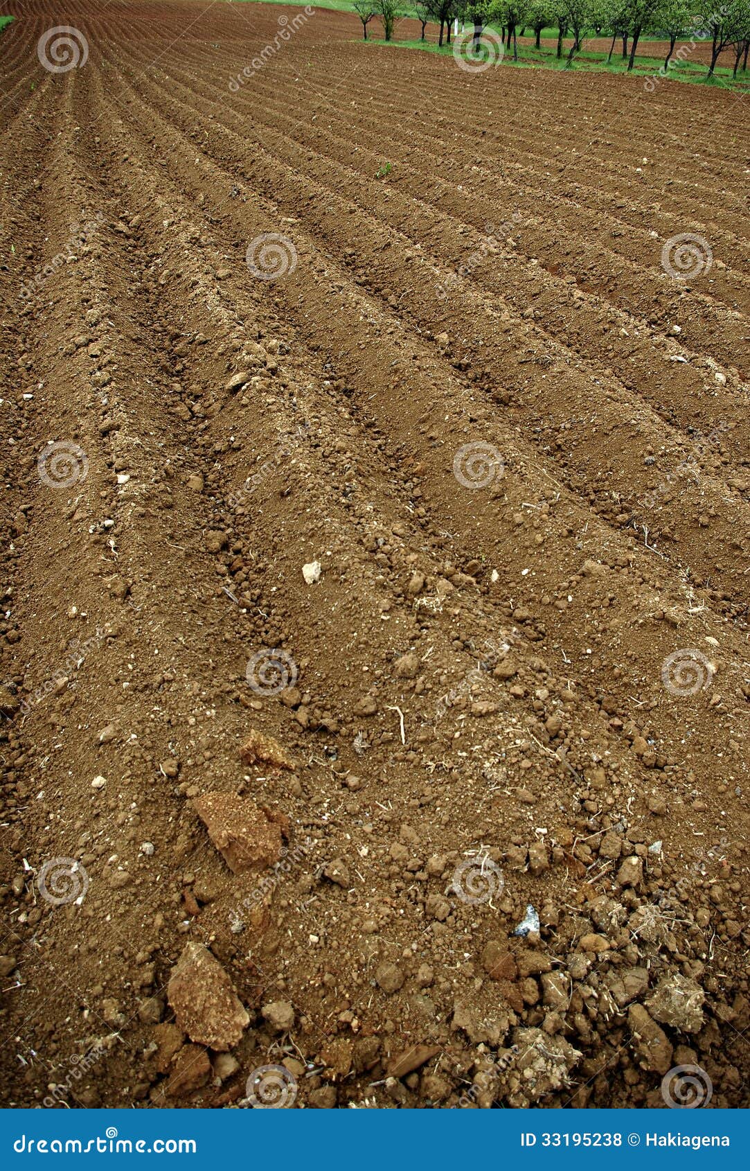Arable Land stock photo. Image of perspective, natural - 33195238