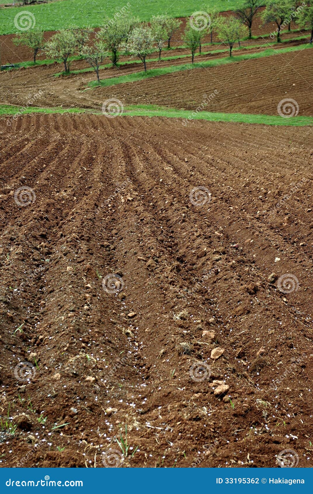 Arable Land stock photo. Image of agriculture, ground - 33195362