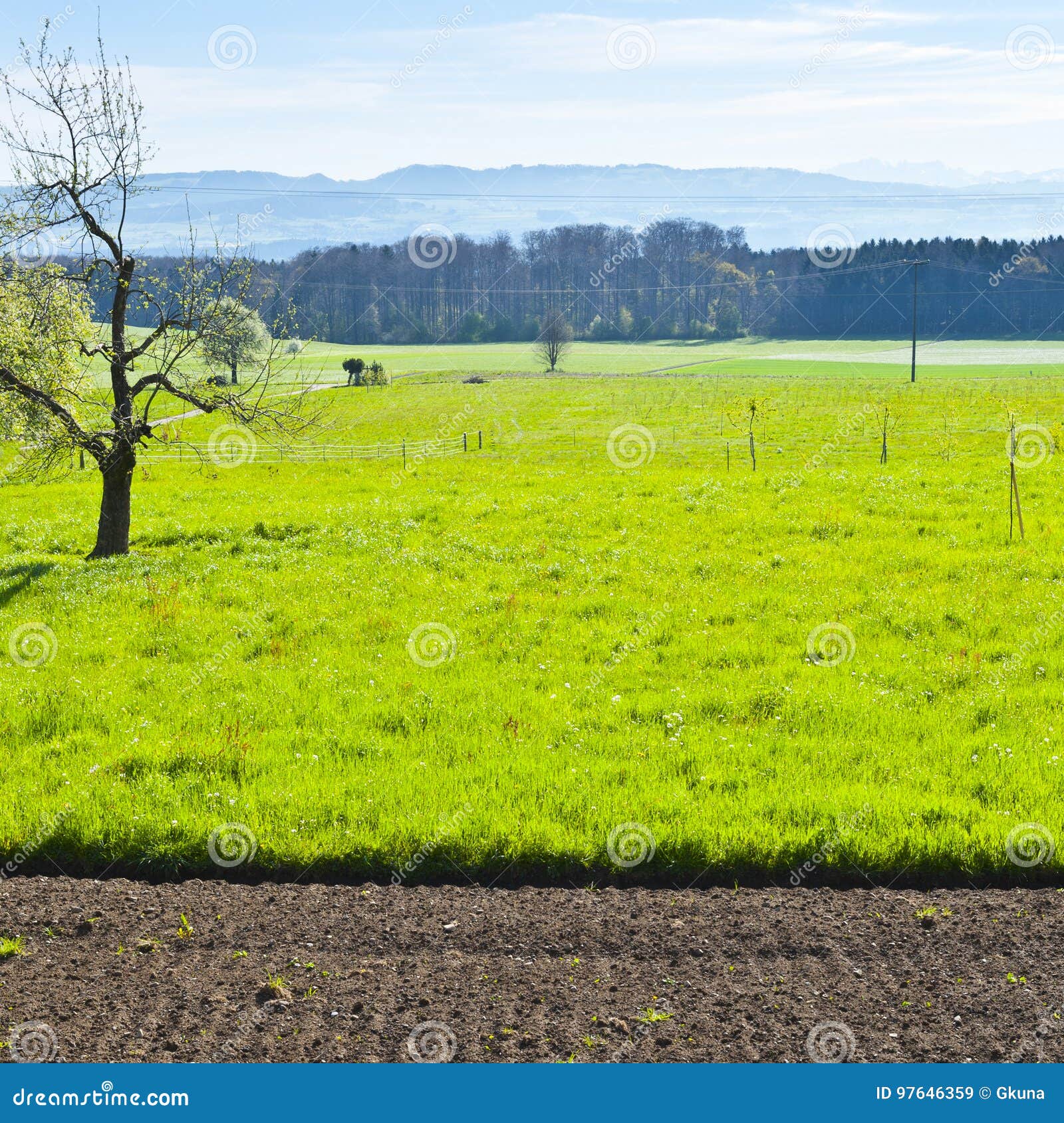 Arable land and pastures stock image. Image of furrow - 97646359