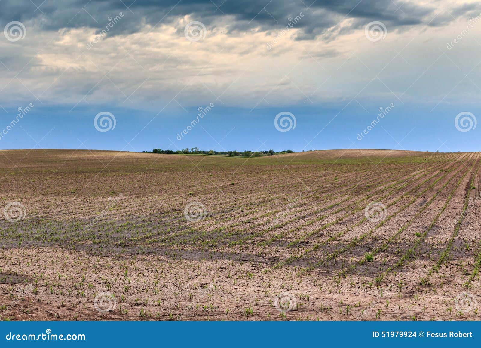 Arable land stock photo. Image of cultivate, agriculture - 51979924