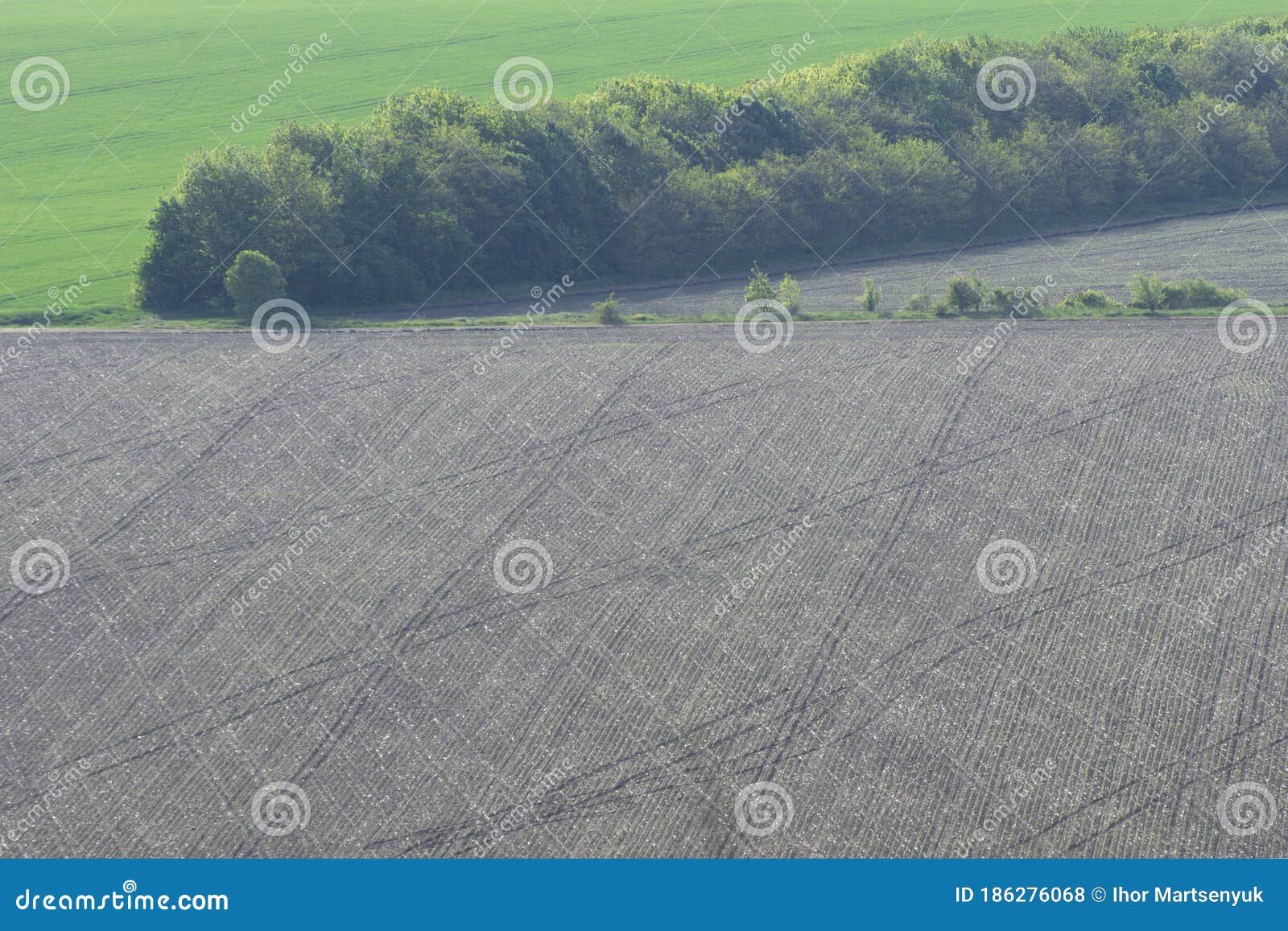 Arable Land in the Spring. Agricultural Landscape Stock Photo - Image ...