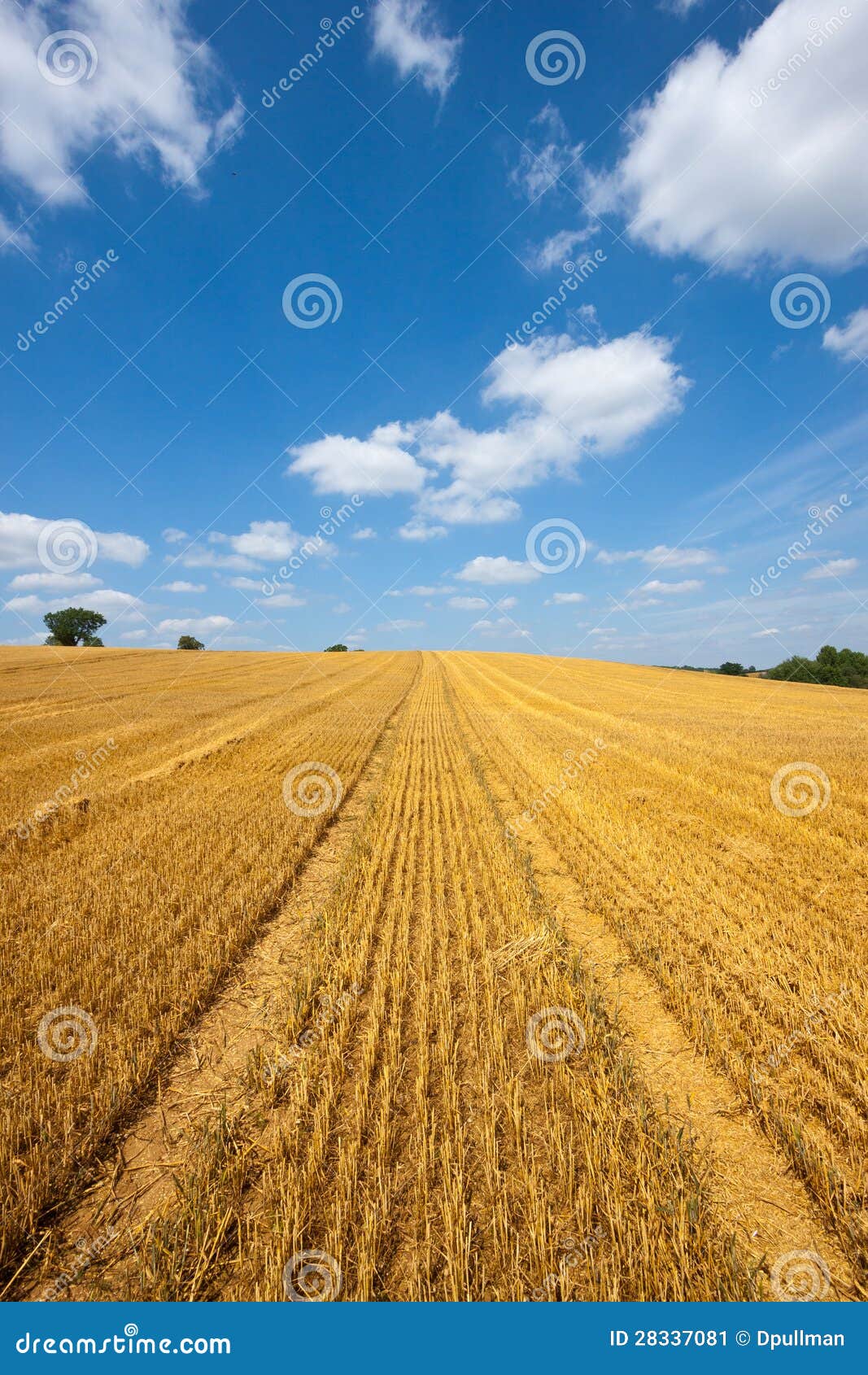 Arable Landscape stock image. Image of season, gold, field - 28337081