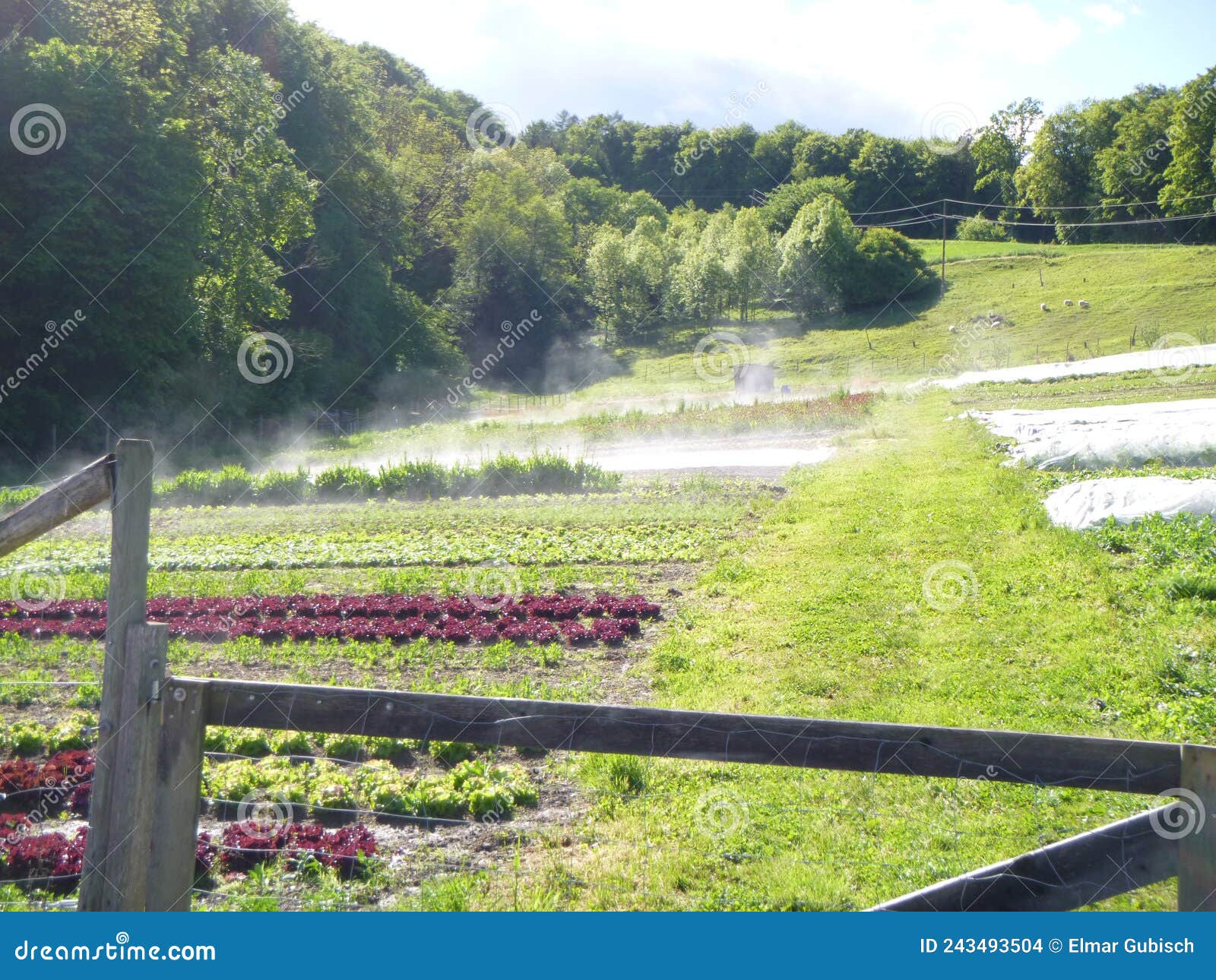 Arable Soil and Field in Spring Stock Photo - Image of land ...