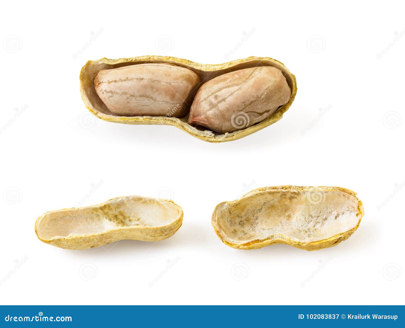 Arachide image stock. Image du nature, brun, arachide - 102083837