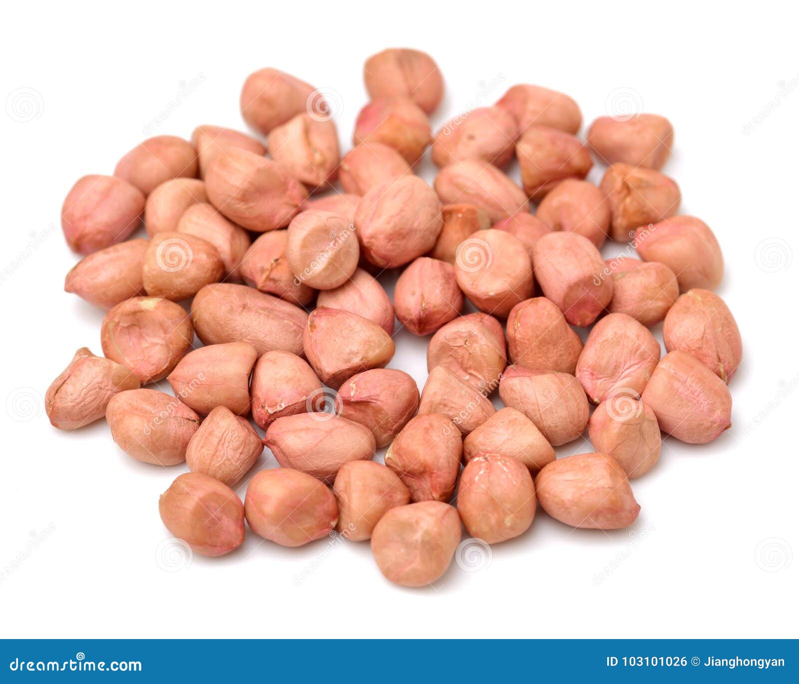 Arachide photo stock. Image du sain, beau, décortiqué - 103101026