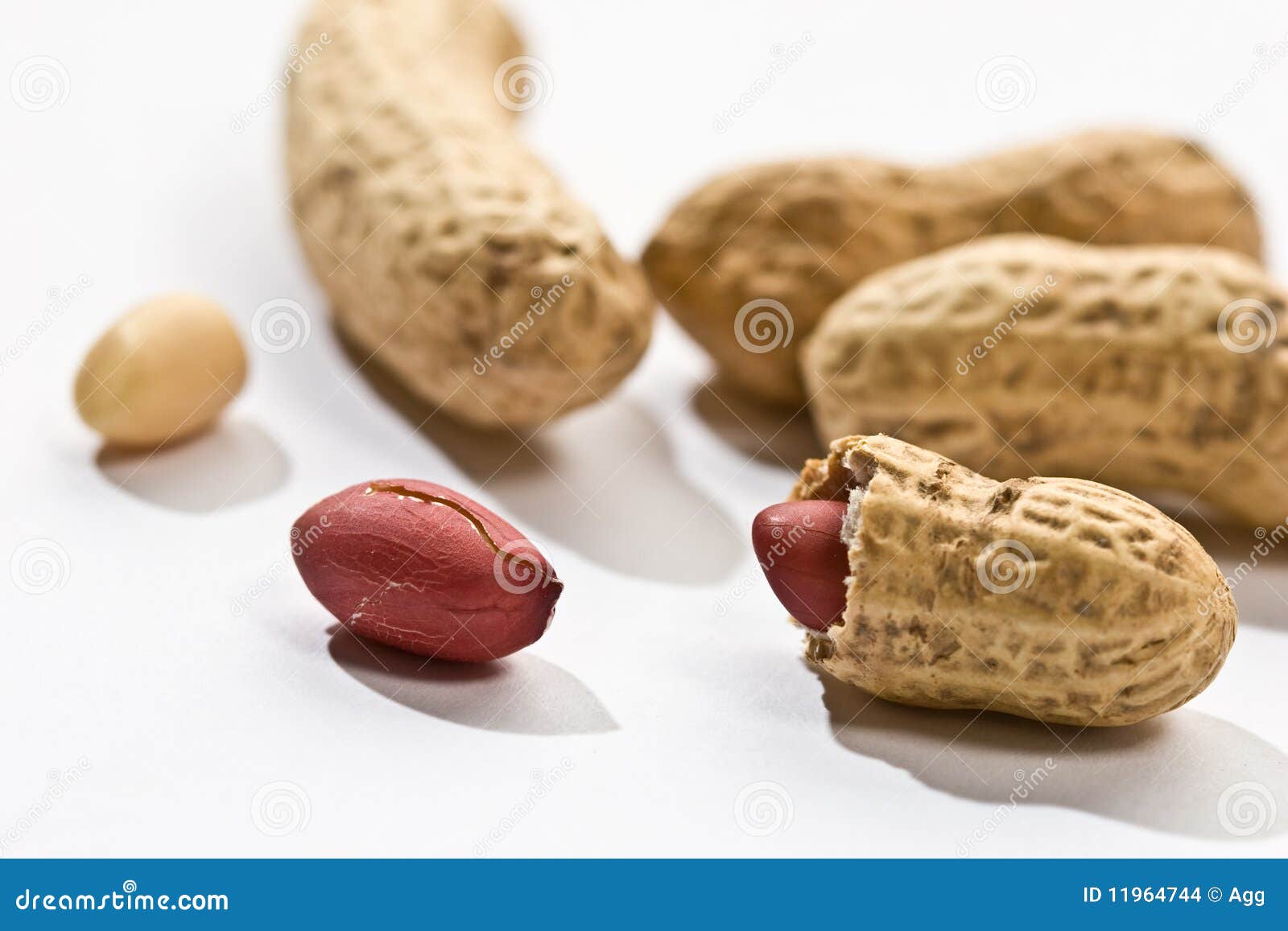 Arachide photo stock. Image du appétit, noyau, nourriture - 11964744