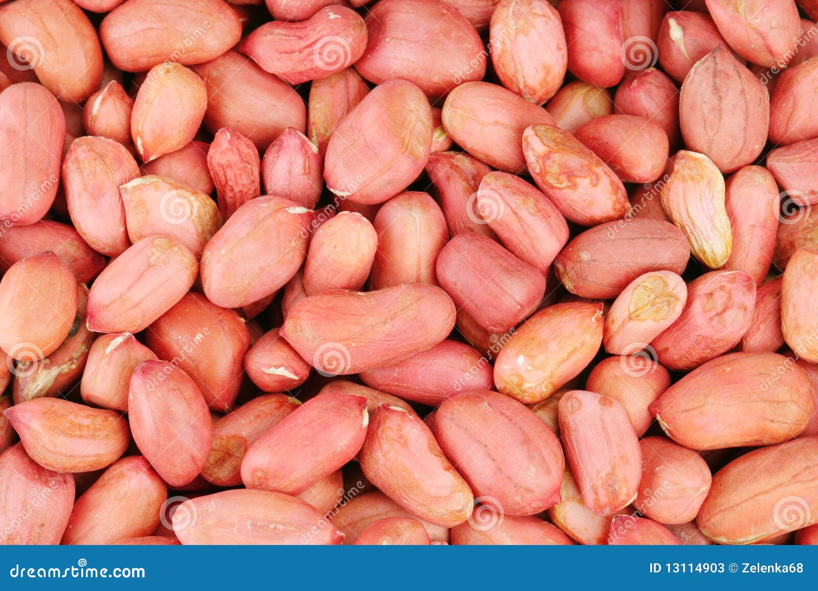 Arachide image stock. Image du arachide, cuisine, mûr - 13114903