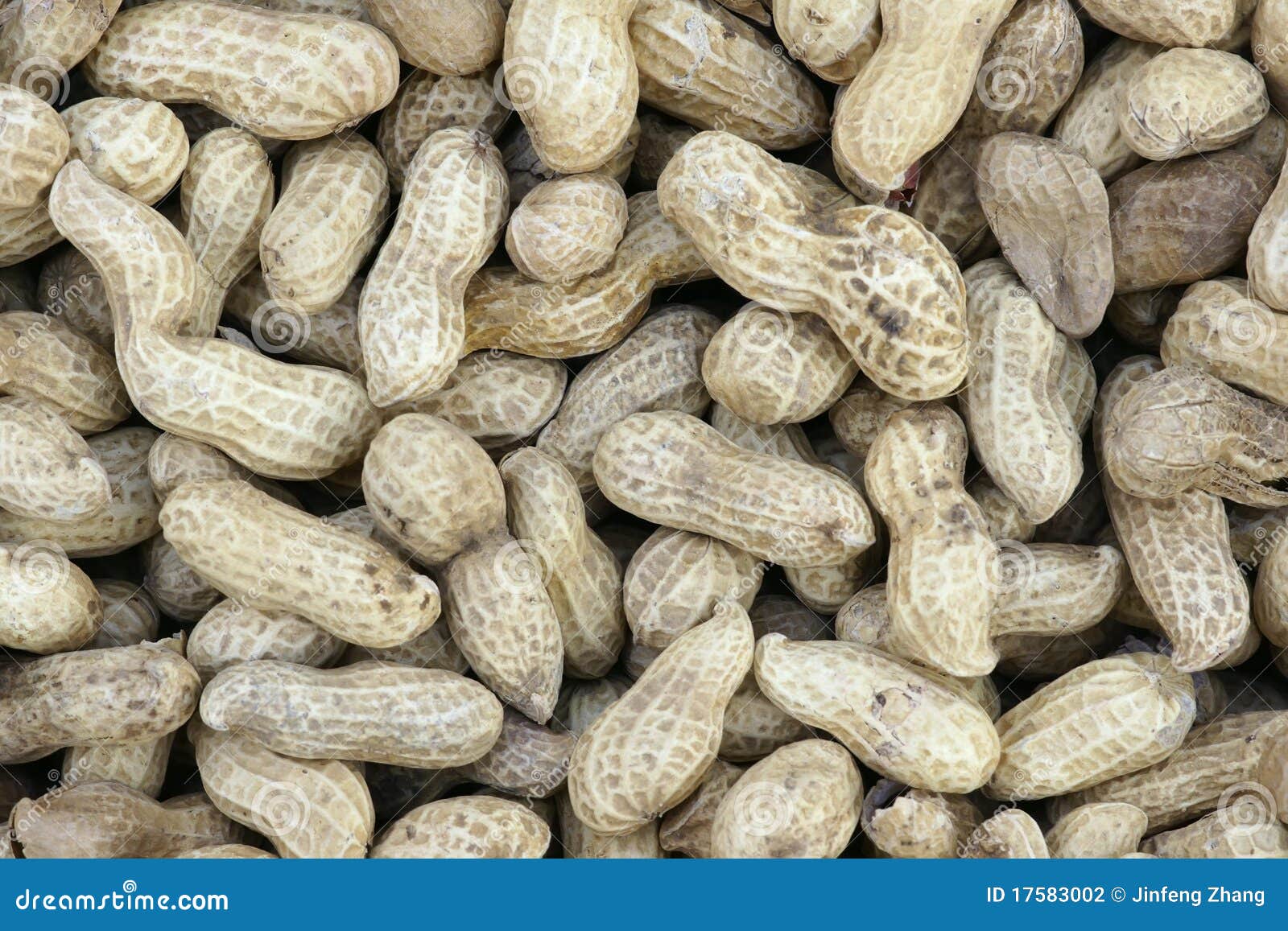Arachide photo stock. Image of fermer, régime, coque - 17583002