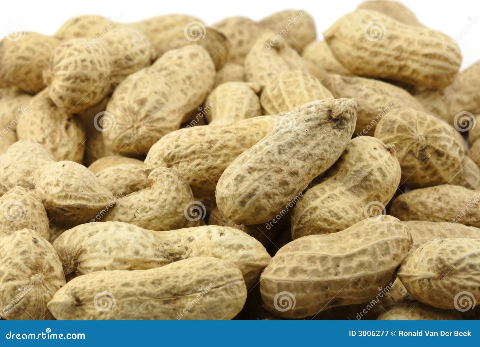 Arachides Photographie stock libre de droits - Image: 3006277