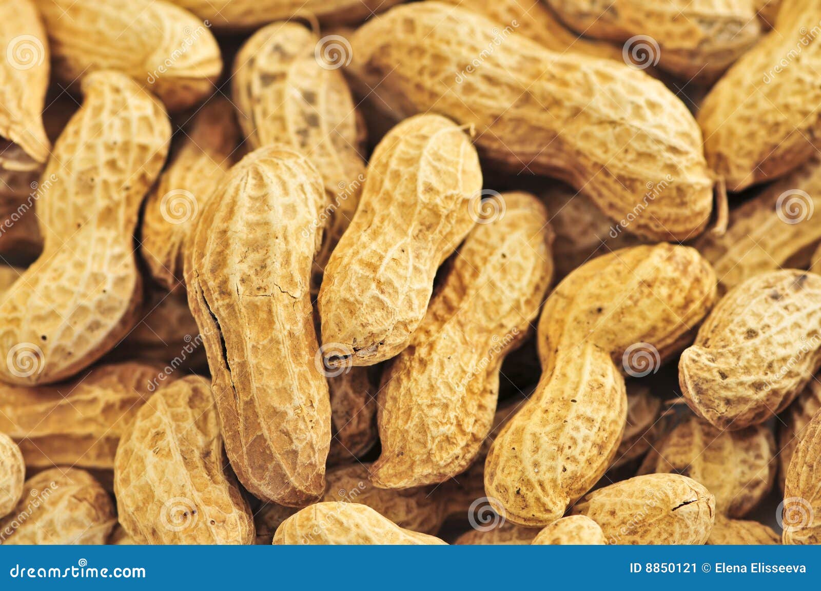Arachides image stock. Image du texture, coques, fermer - 8850121