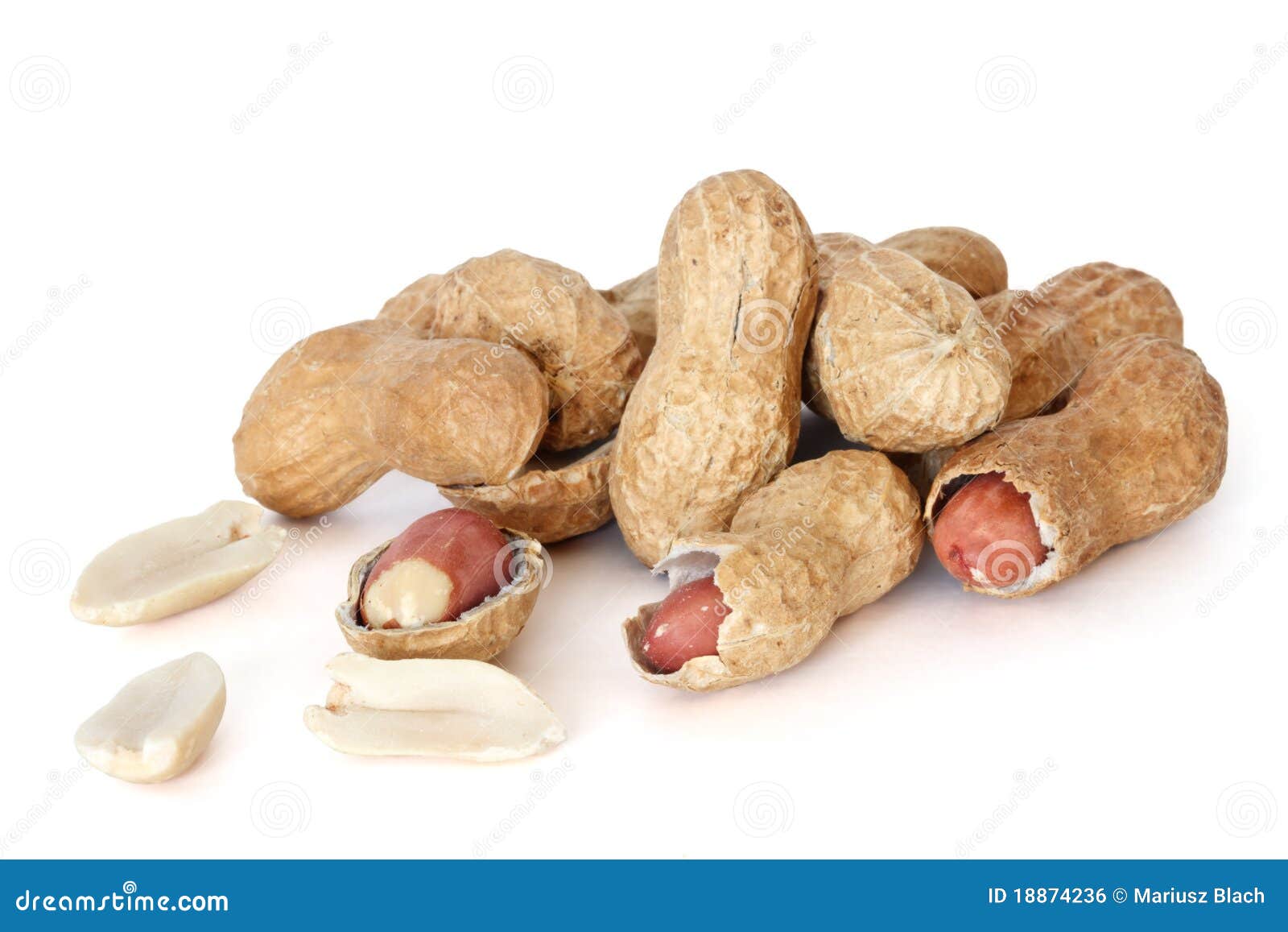 Arachidi fotografia stock. Immagine di oblungo, consumo - 18874236