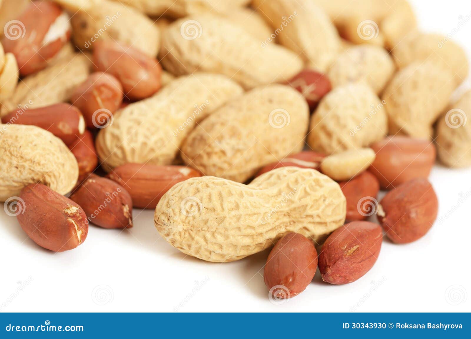 Arachidi isolate fotografia stock. Immagine di particolare - 30343930