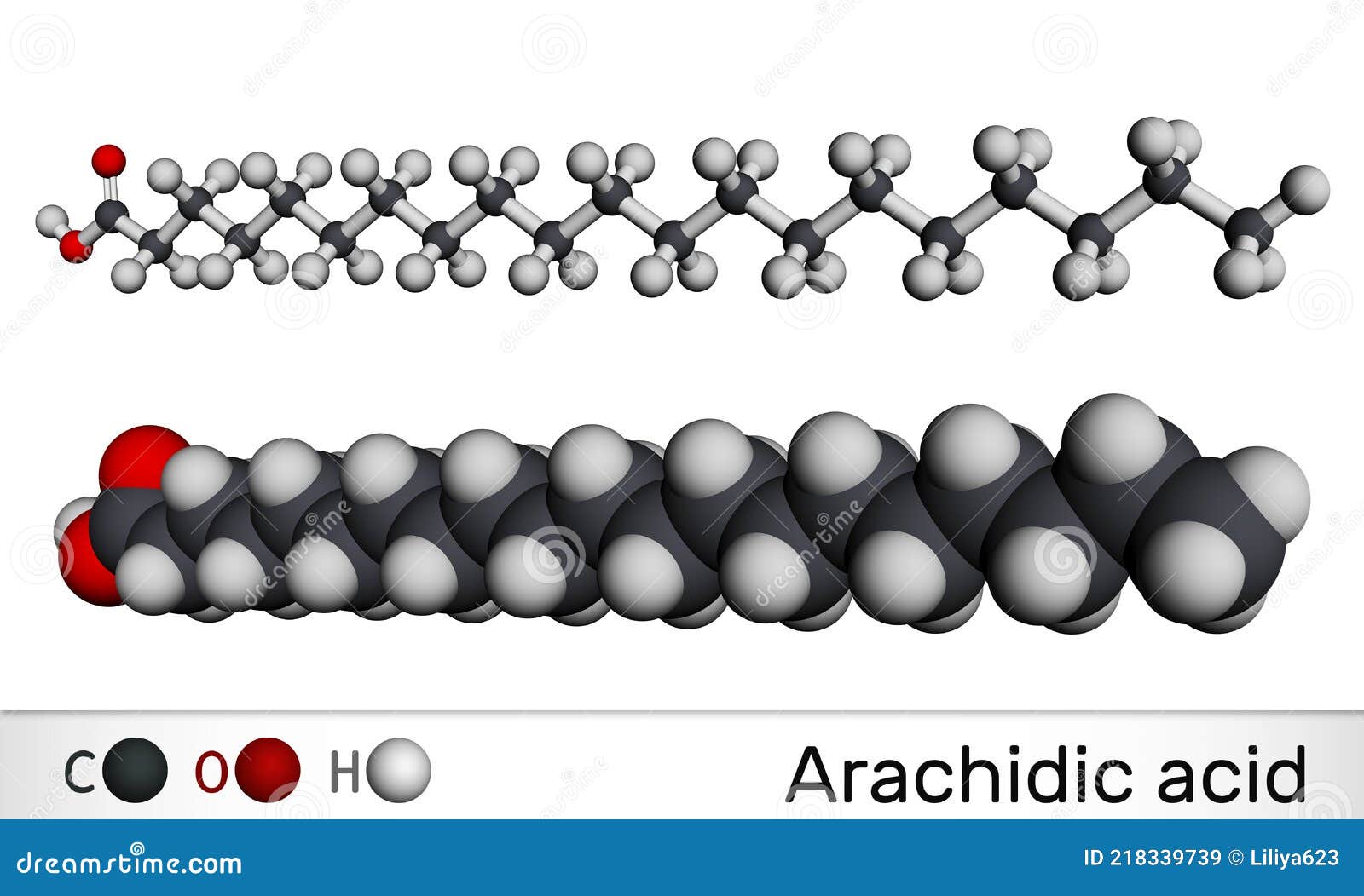 Arachidic Acid, Eicosanoic, Icosanoic Acid Molecule. Structural ...