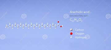 Arachidic Acid Molecule, Molecular Structures, Saturated Fatty Acid, 3d ...