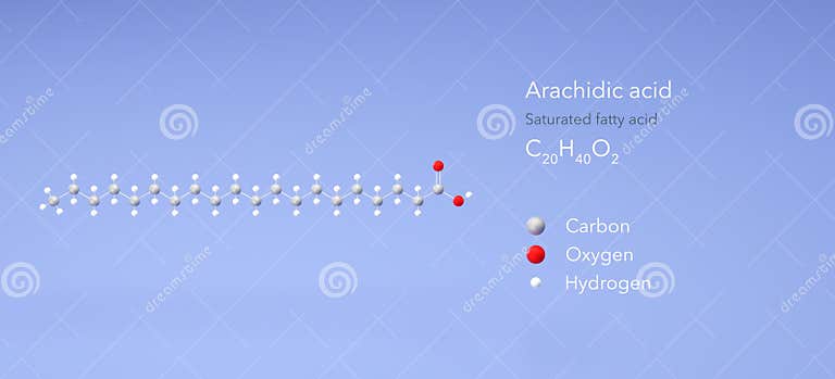Arachidic Acid Molecule, Molecular Structures, Saturated Fatty Acid, 3d ...