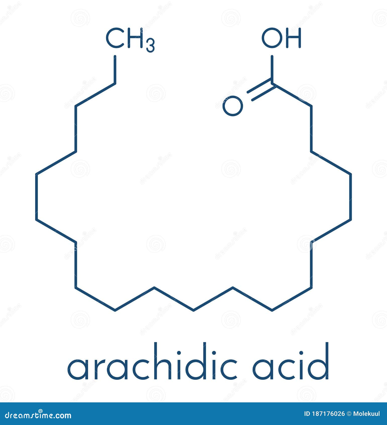 Arachidic Acid, Eicosanoic, Icosanoic Acid Molecule. Structural ...