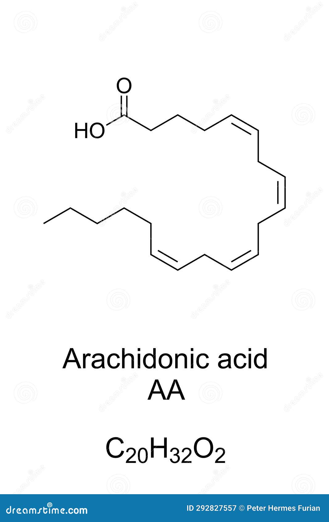 Arachidonic Acid, Molecular Structures, Omega-6, Ball And Stick Model ...