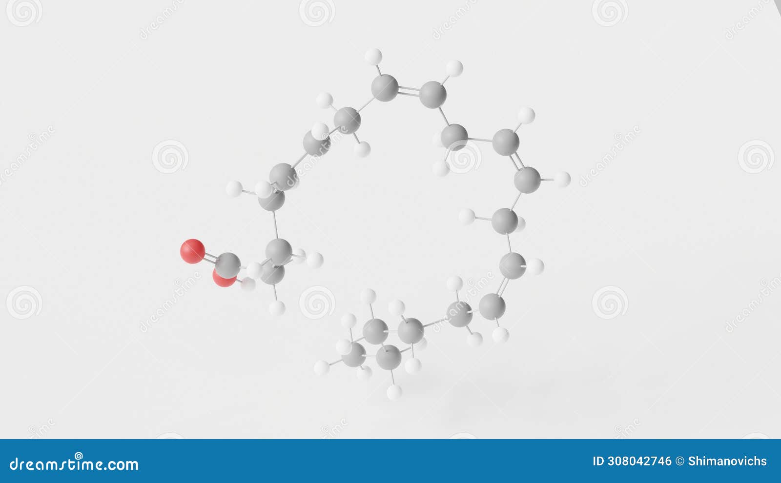 Arachidonic Acid Molecule 3d, Molecular Structure, Ball and Stick Model ...