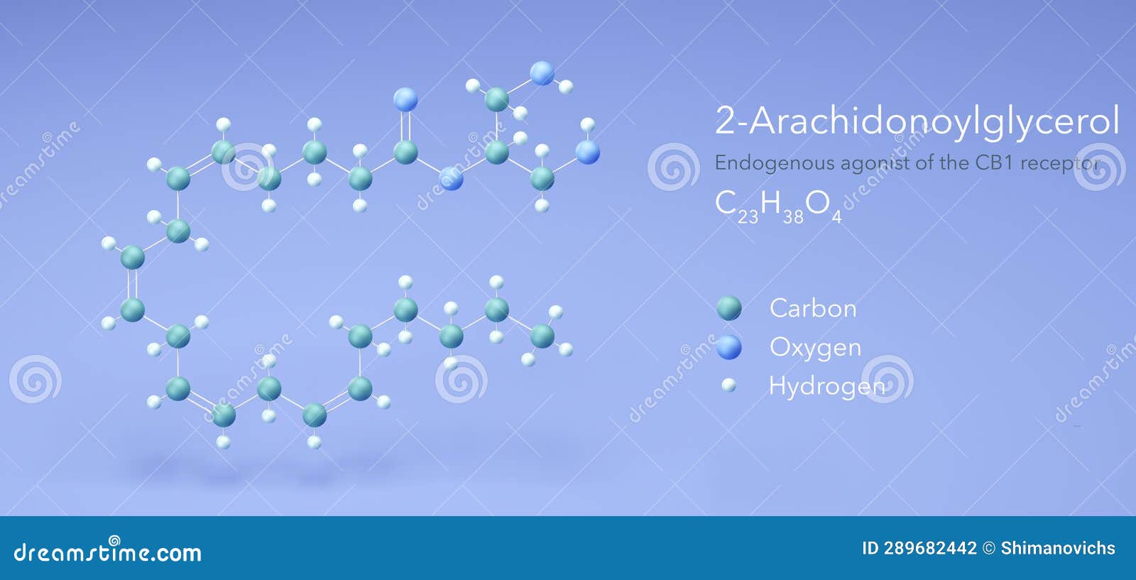 2-arachidonoylglycerol Molecule, Molecular Structures, Endocannabinoid ...