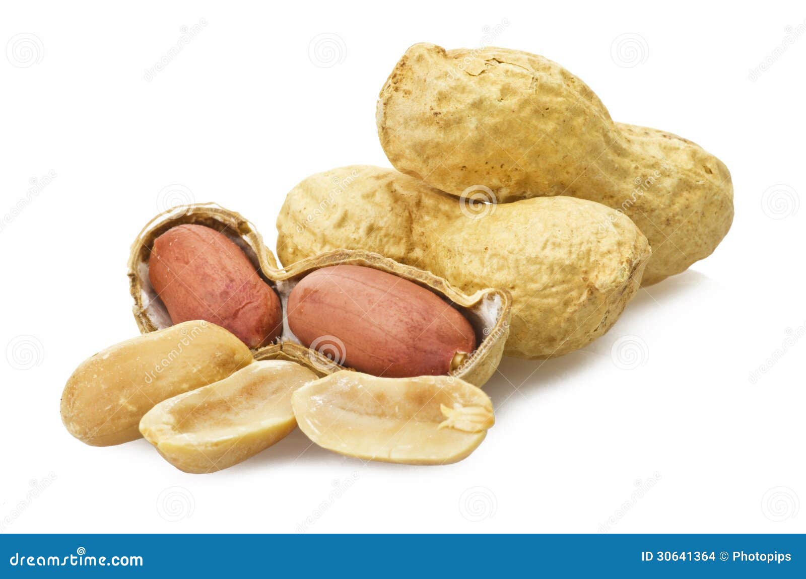 Arachidy zdjęcie stock. Obraz złożonej z składnik, jedzenie - 30641364