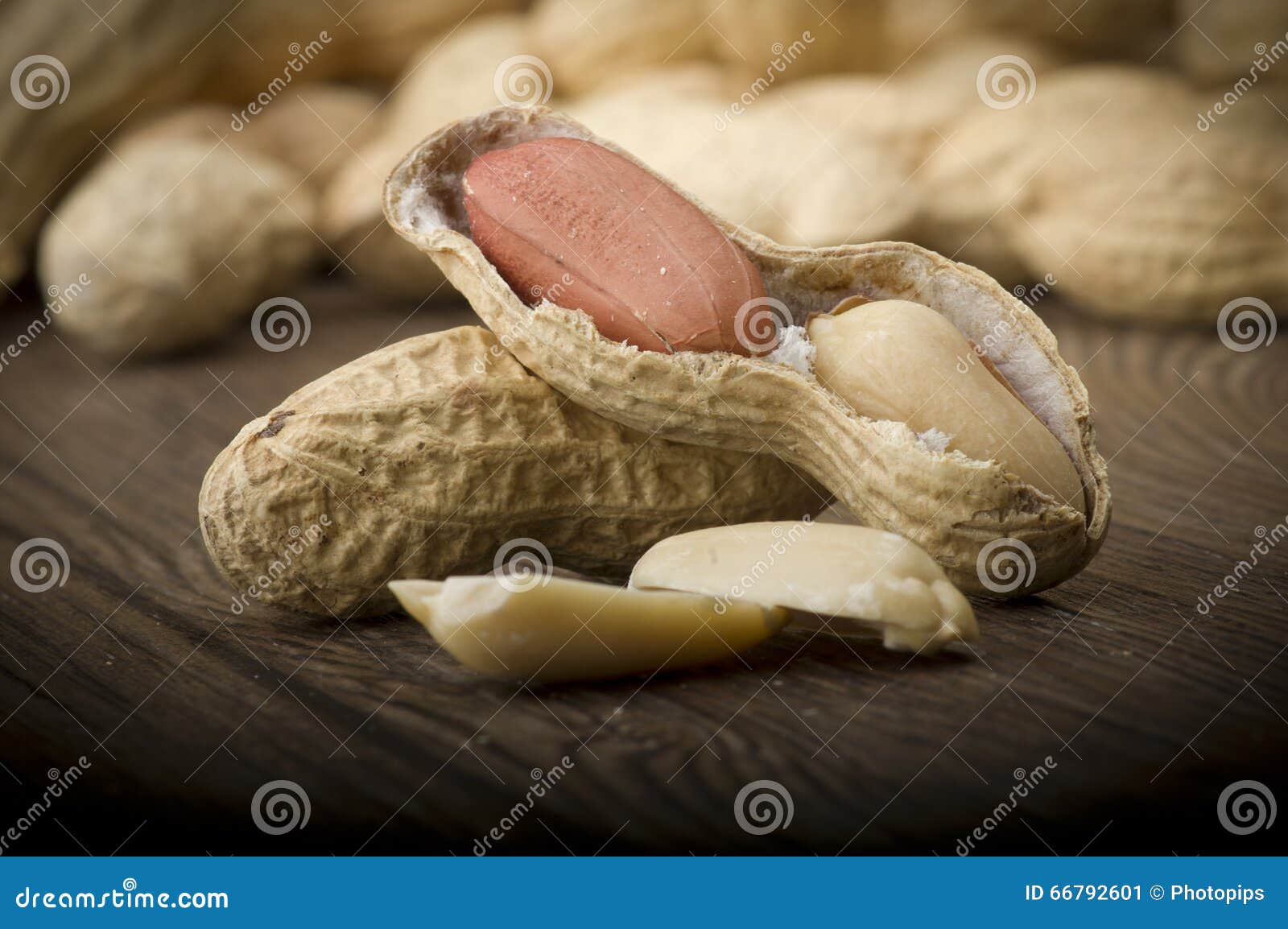 Arachidy w skorupach obraz stock. Obraz złożonej z natura - 66792601