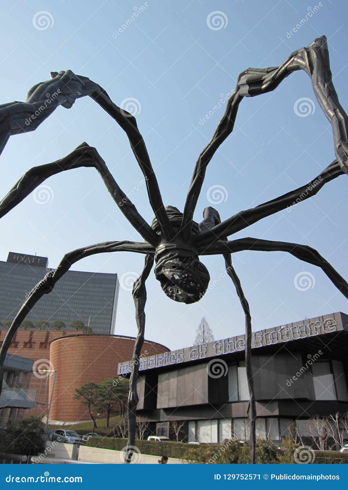 Arachnid, Tree, Metal, Arthropod Picture. Image: 129752571