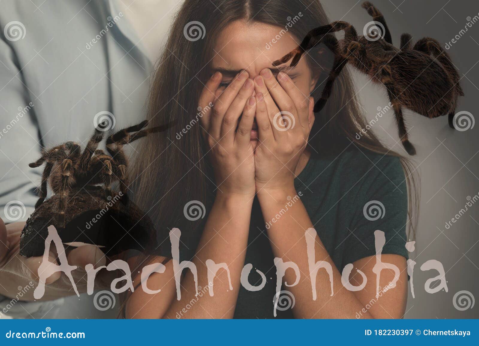 Arachnophobia. Double Exposure of Scared Woman and Spiders Stock Image ...