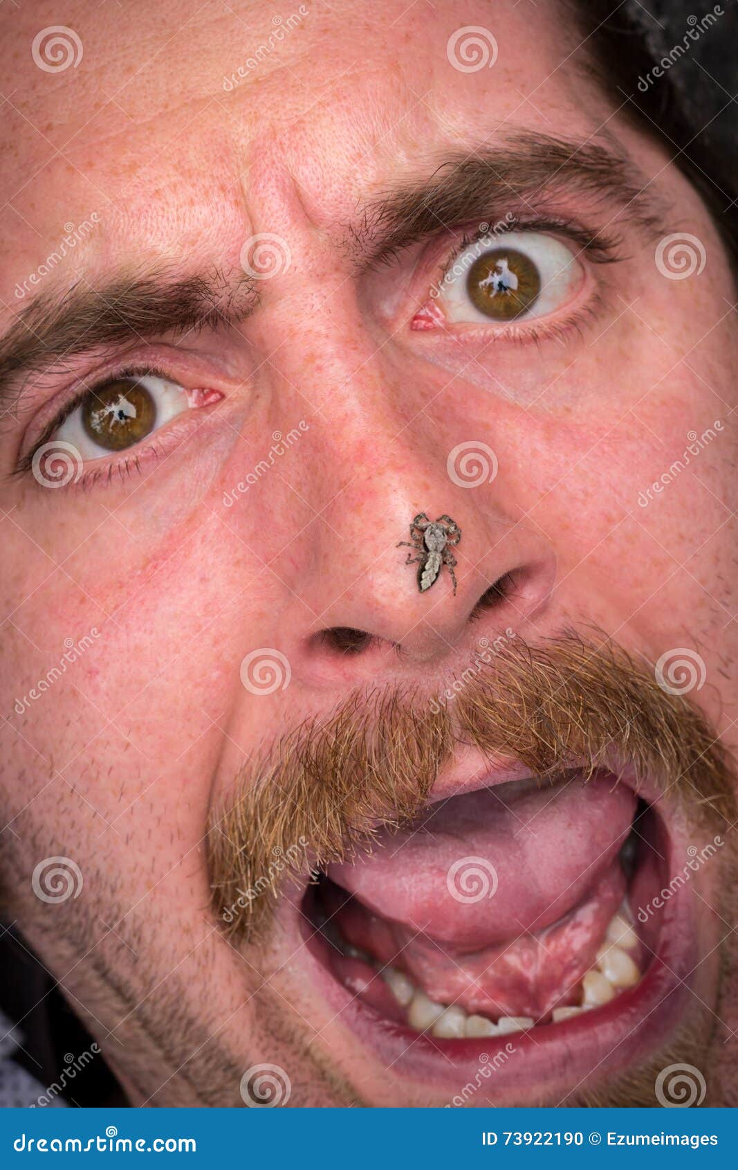 Arachnophobia Man Scared stock photo. Image of monster - 73922190