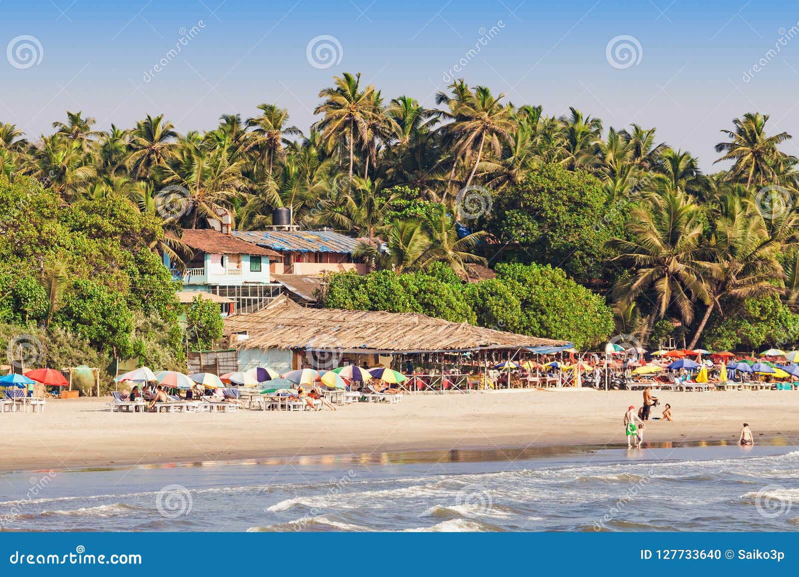 Arambol beach, Goa editorial image. Image of palm, bright - 127733640