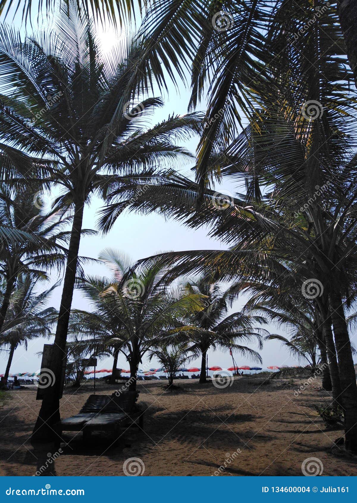 Arambol, Goa, India editorial stock image. Image of swimming - 134600004