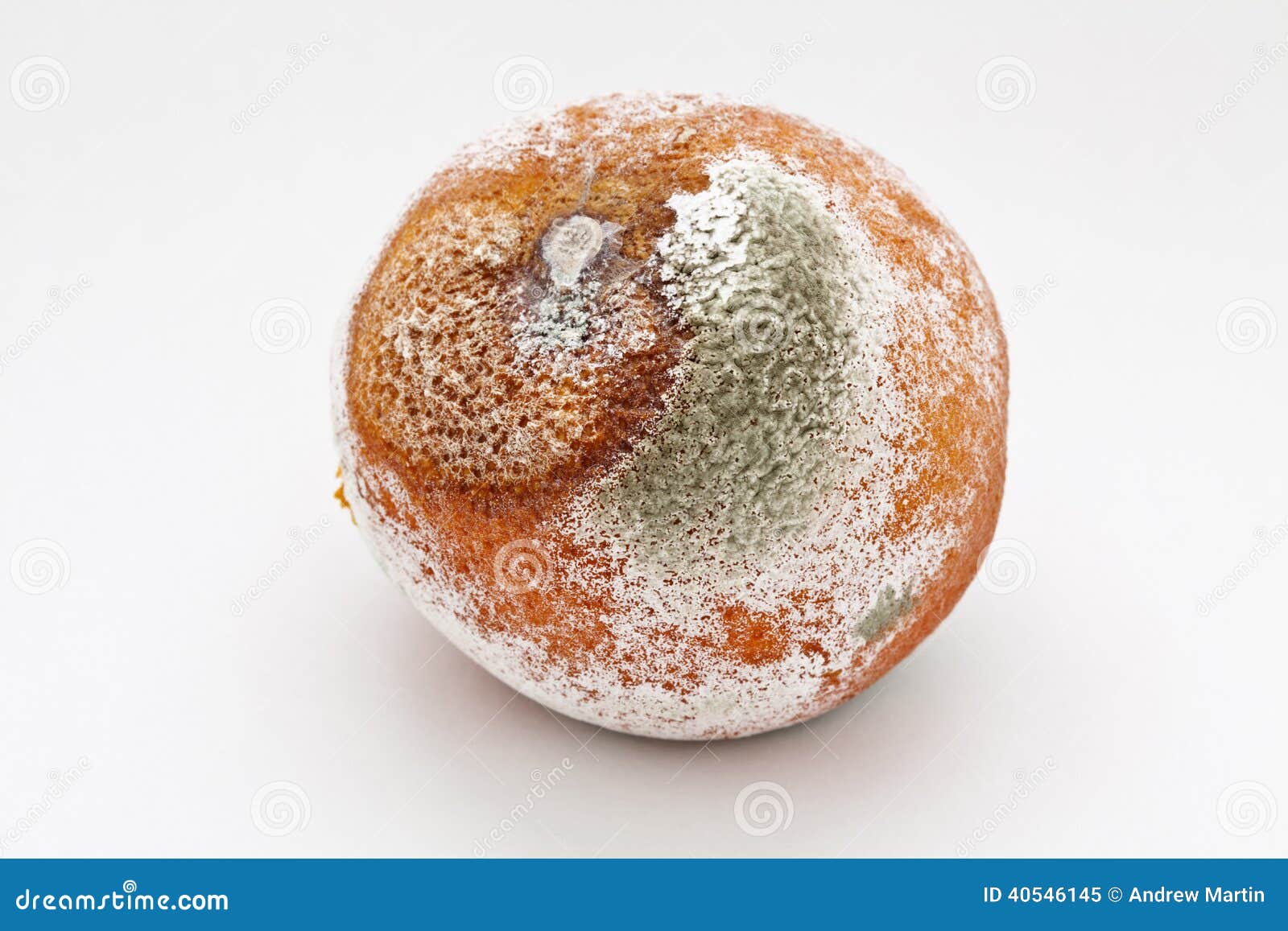 Arancio ammuffito immagine stock. Immagine di frutta - 40546145