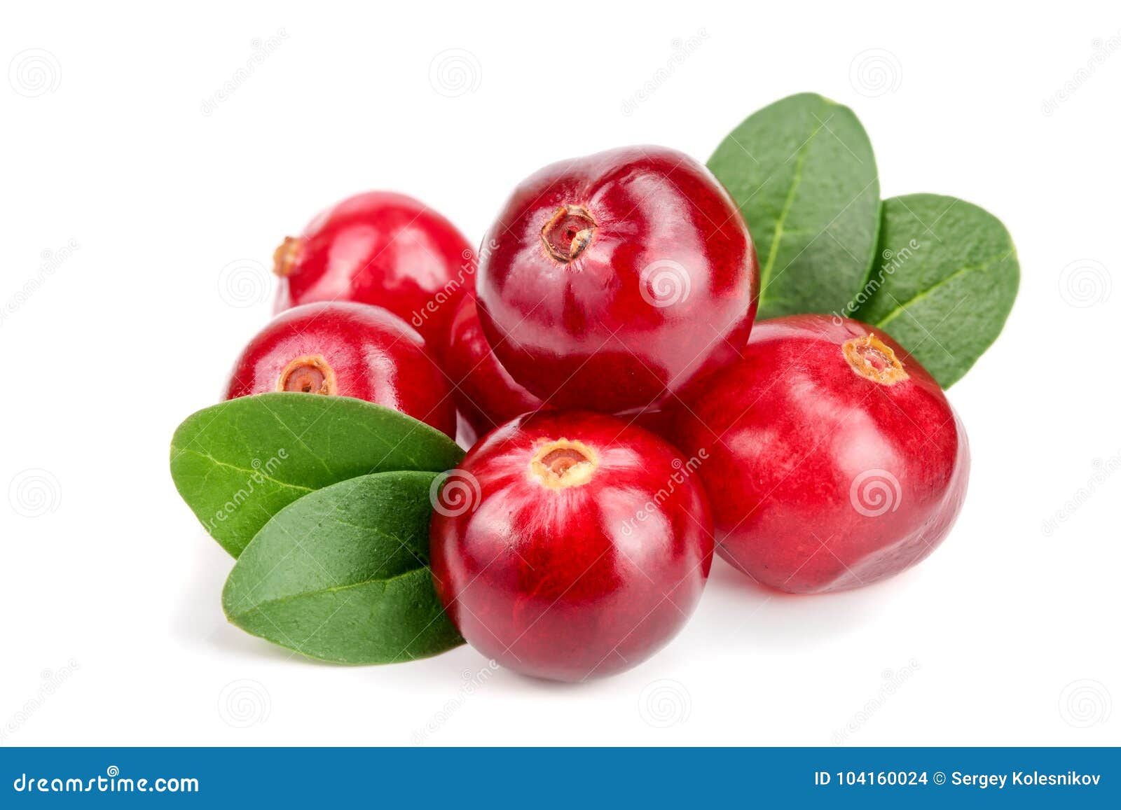 Arando Com a Folha Isolada No Macro Branco Do Close Up Do Fundo Foto de ...