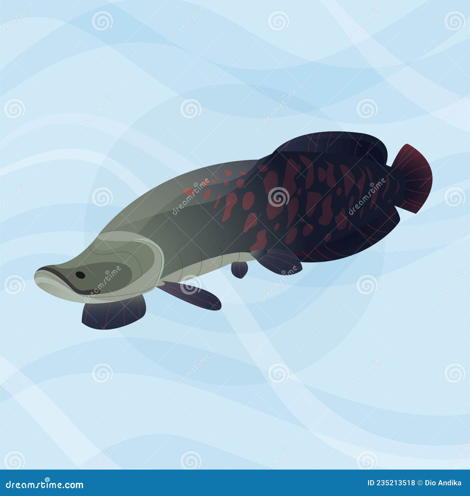 The Arapaima (Arapaima Gigas Royalty-Free Cartoon | CartoonDealer.com ...